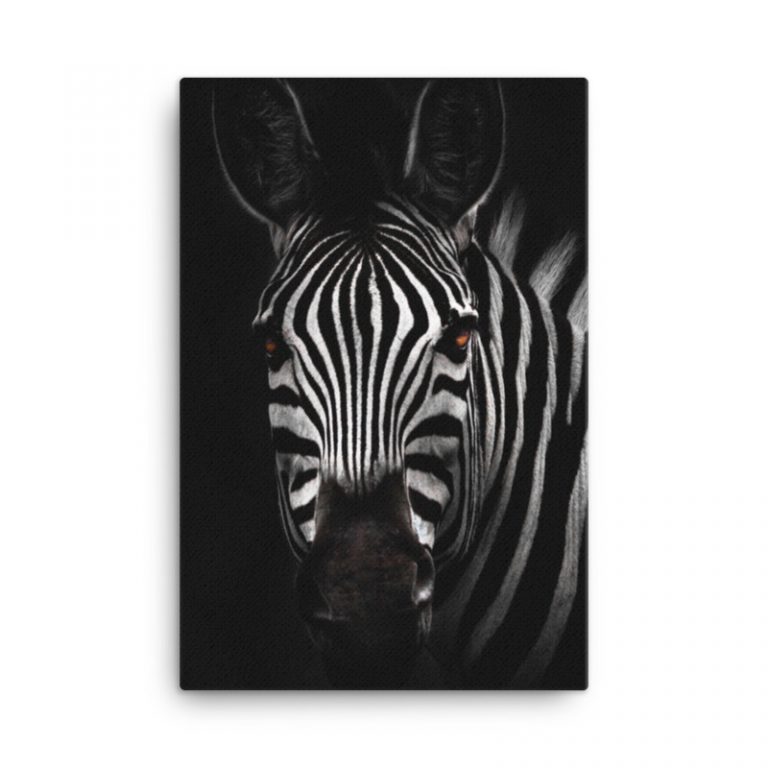Zebra Wall Art HD Portrait | Beautiful living room decor wall prints